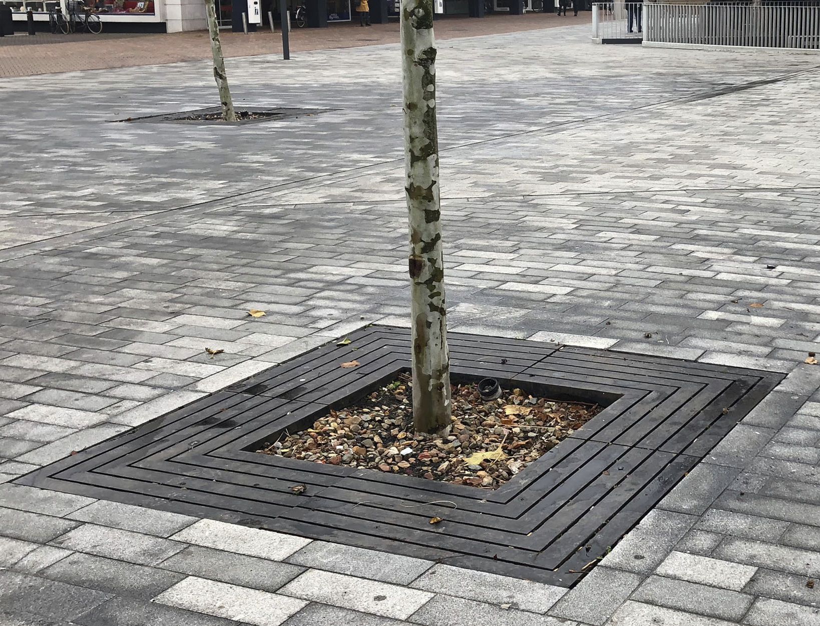 Square tree grate - AARE - ANAE street furniture - cast iron