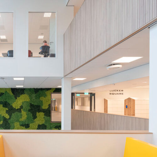 Acoustic wall panel - CLASSIC R PLANKS - TOPAKUSTIK AG - for ceiling ...