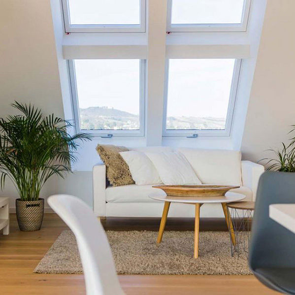 Aluminum roof window - Frank Roto DST GmbH - top-hung / single-glazed ...