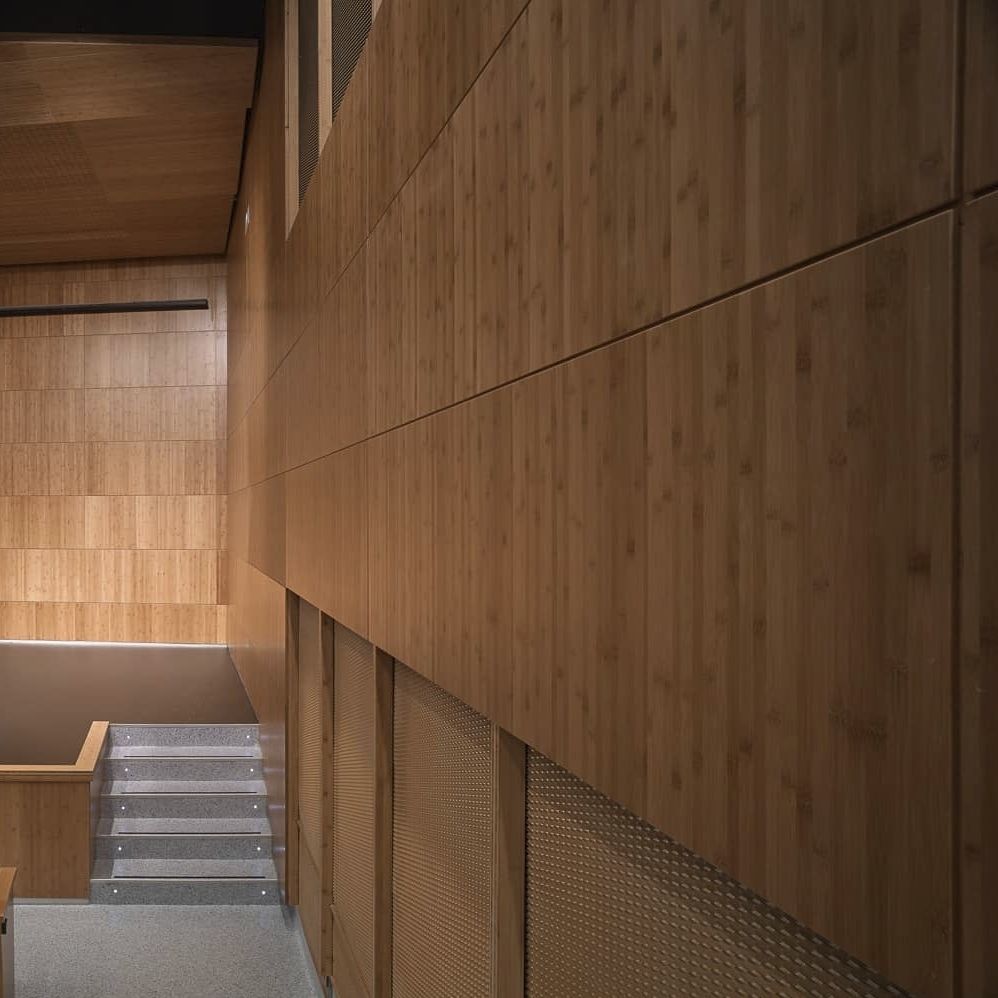 Auditorium acoustic panel - Grupo GUBIA - for wall / for ceiling / bamboo