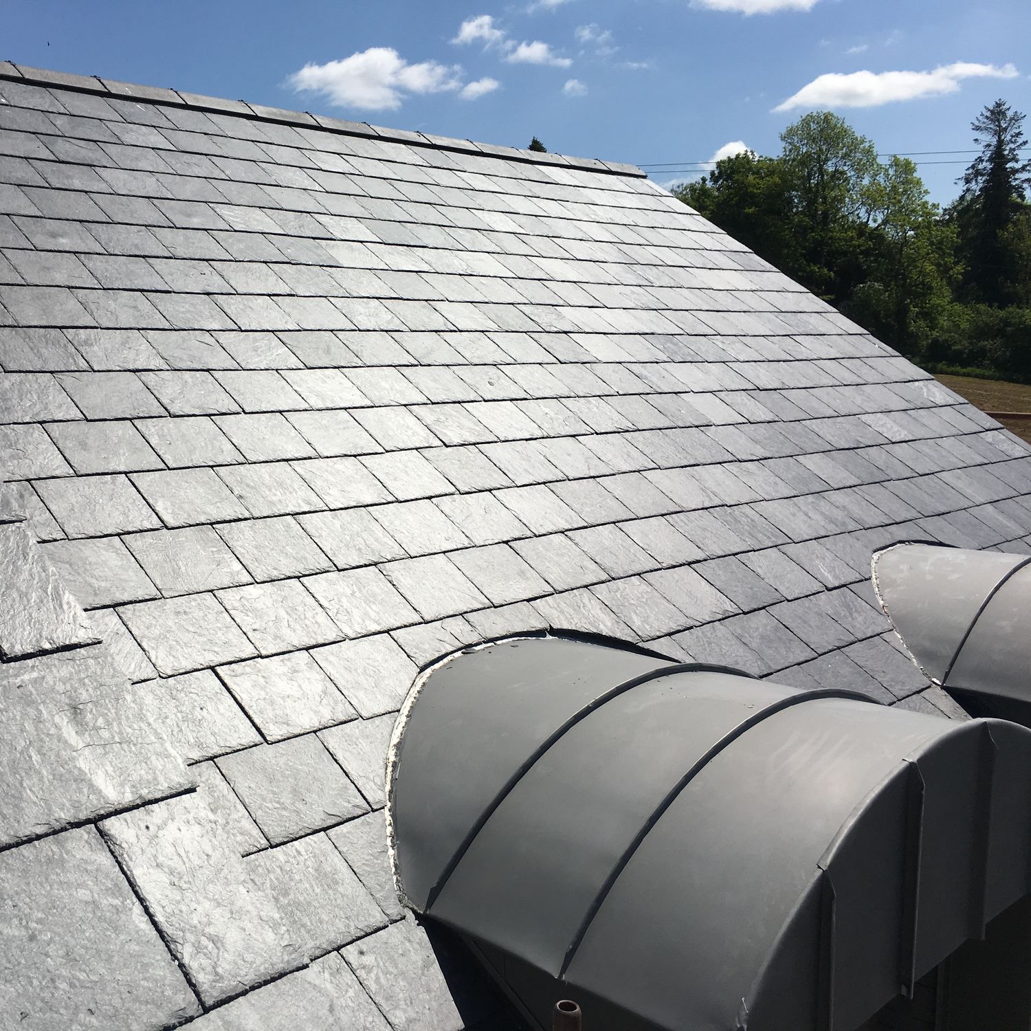 Flat flat roof tile - DOMIZ® : FIRST - SSQ Group - slate / gray