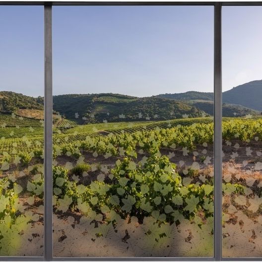 Glass decorative film - INT 151 - REFLECTIV WINDOW FILMS - window / for ...