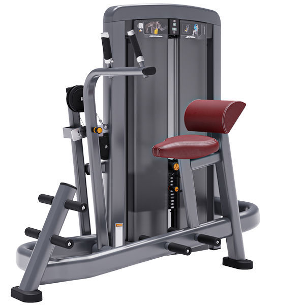 Abdominal crunch weight training machine - SS ABD - Life Fitness ...