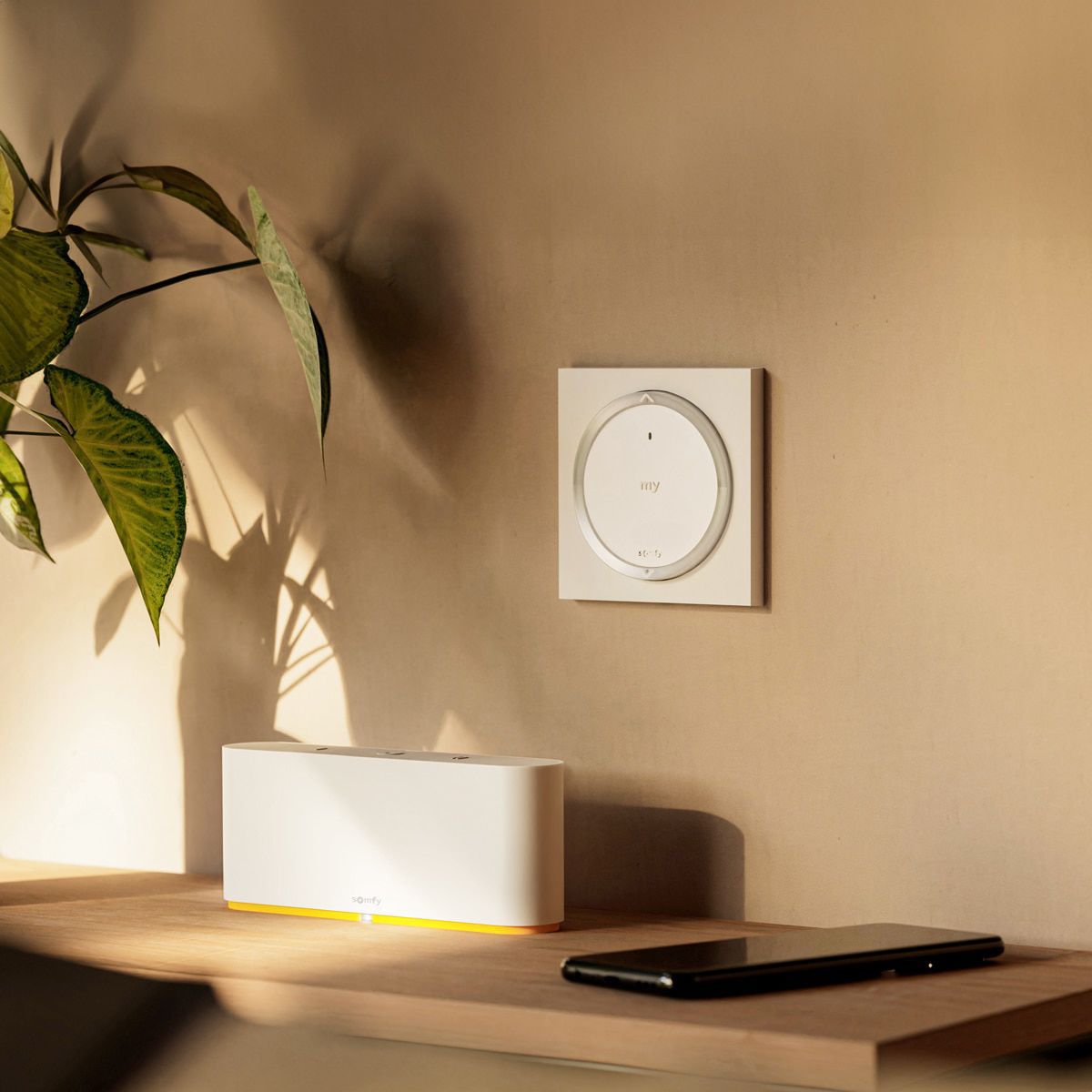 Sensor - AMY IO - Somfy Architecture