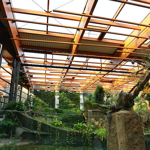 Texlon® ETFE roof system - AFRYKARIUM AT ZOO WROCLAW - Vector Foiltec ...