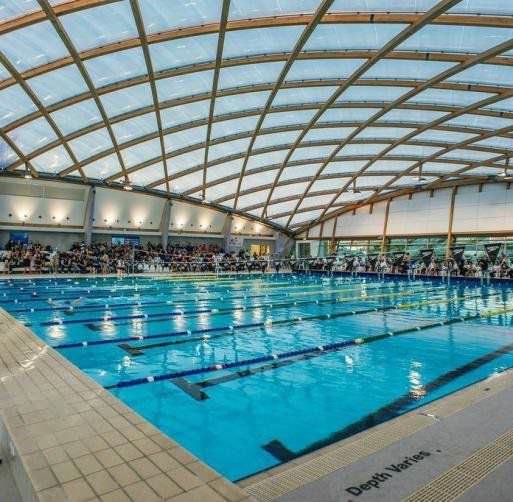 Curved roof system - COASTLANDS AQUATIC CENTRE - Vector Foiltec ...