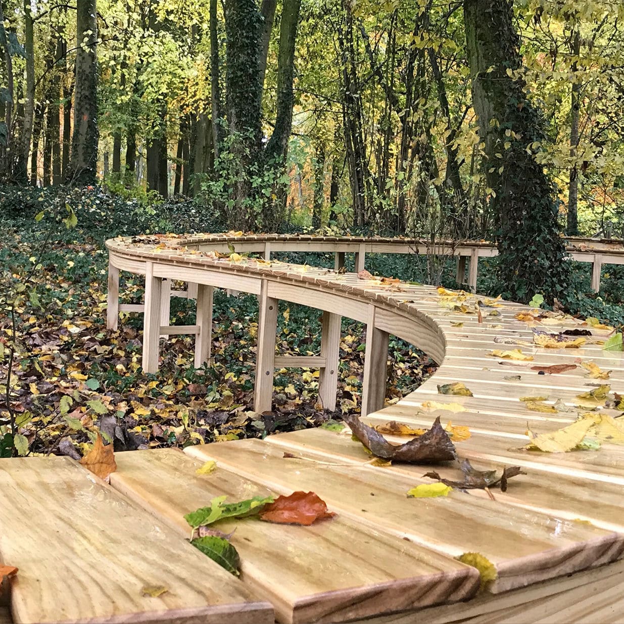 Wooden tree guard - PARKBENCH PAULINE, NETHERLANDS - Accsys ...