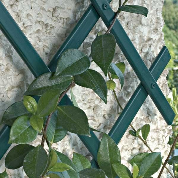 Green wall trellis - TREPLAS - Tenax UK Ltd - PVC