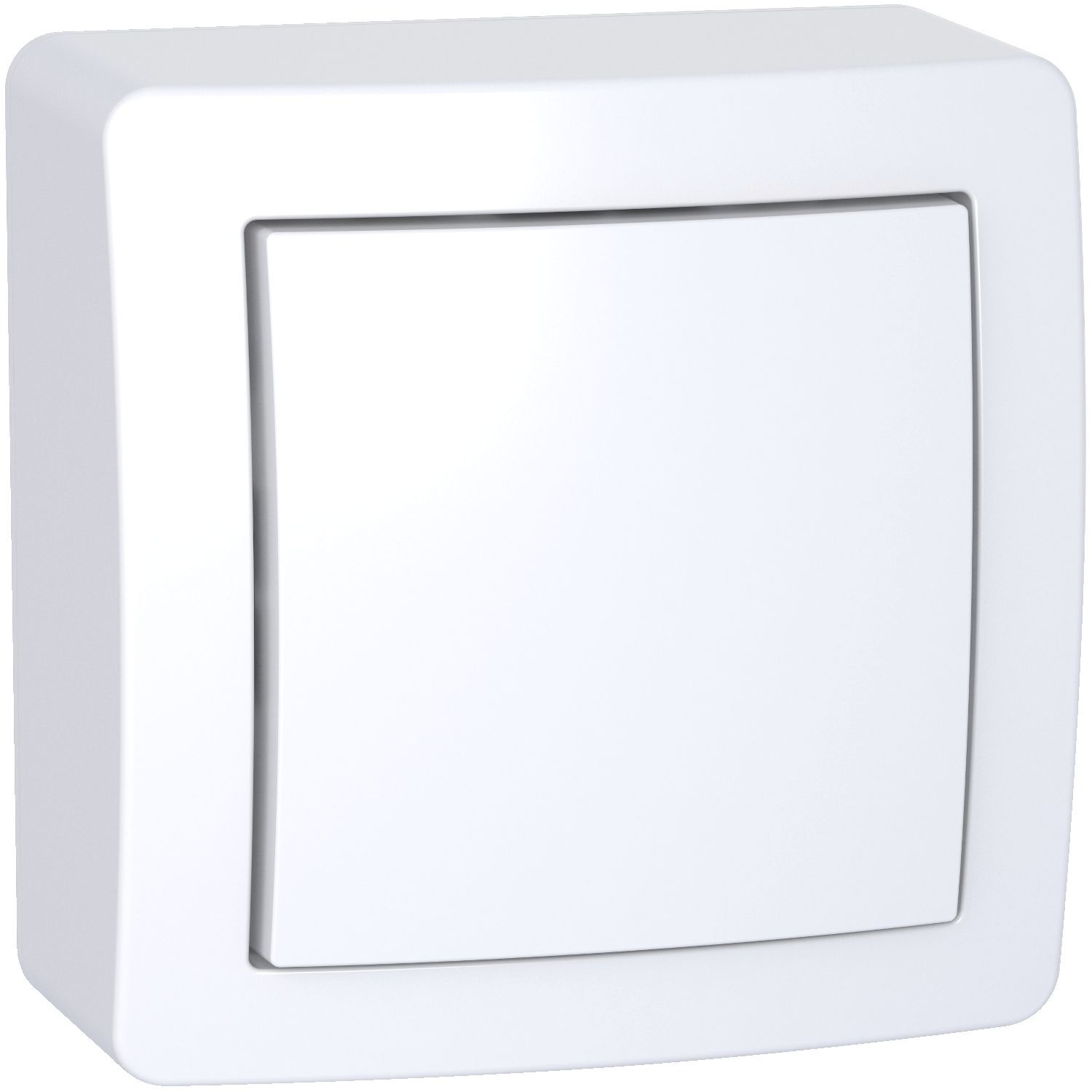 Light switch - ALRÉA - SCHNEIDER ELECTRIC - rocker / surface-mount / double