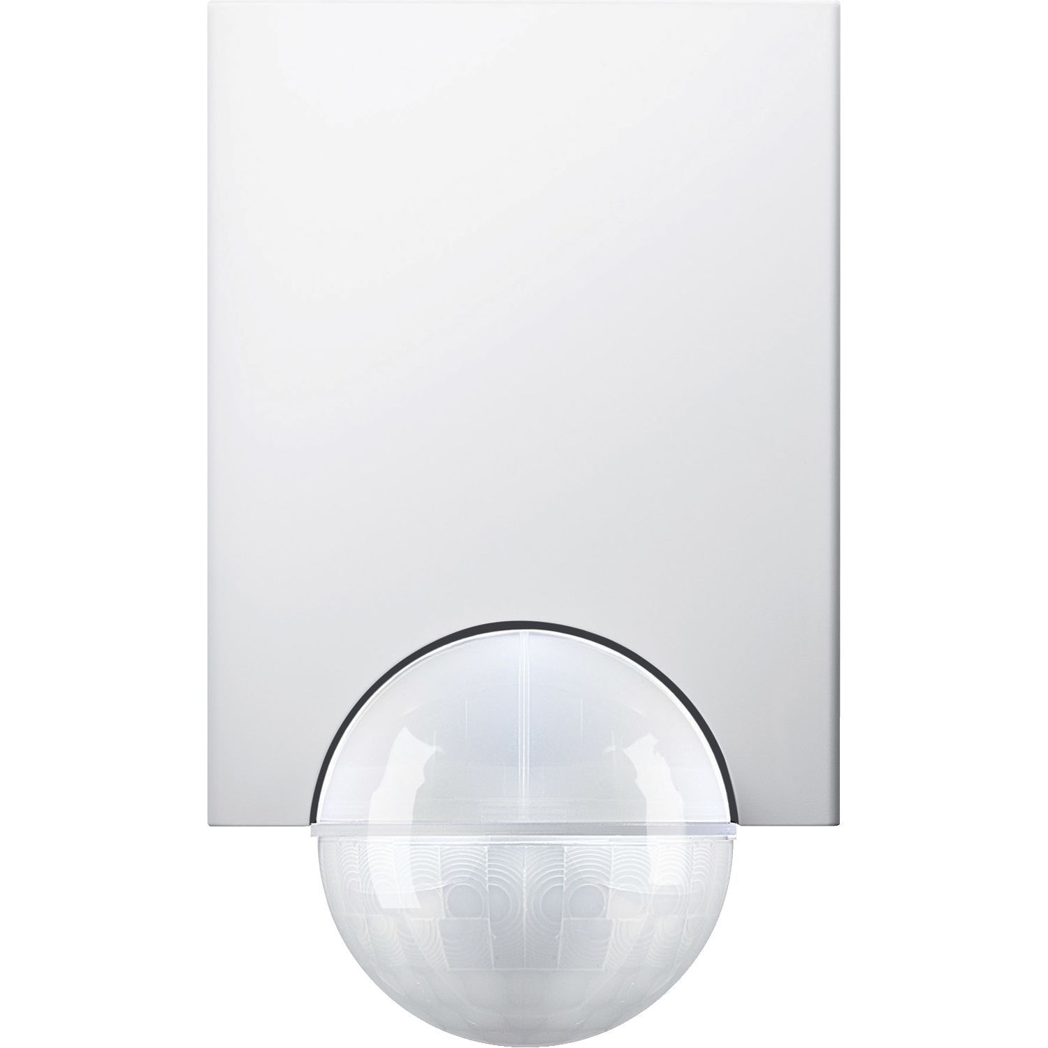 Motion detector - ARGUS - SCHNEIDER ELECTRIC - presence / wall-mounted ...