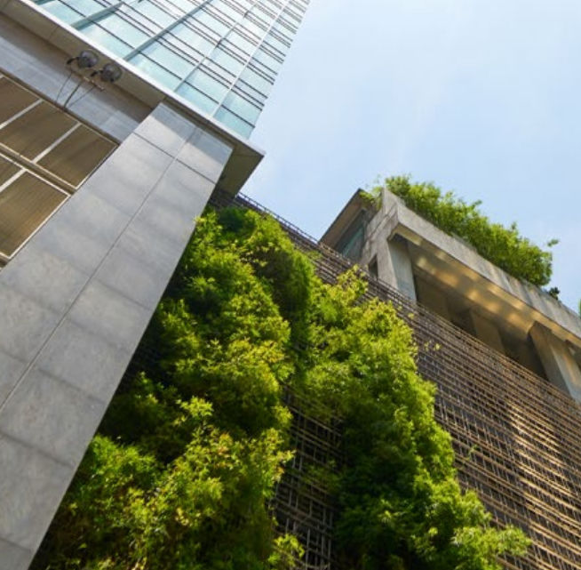 Green facade with live plants - FOREST - HYBRID EM - POHL Metal Systems ...