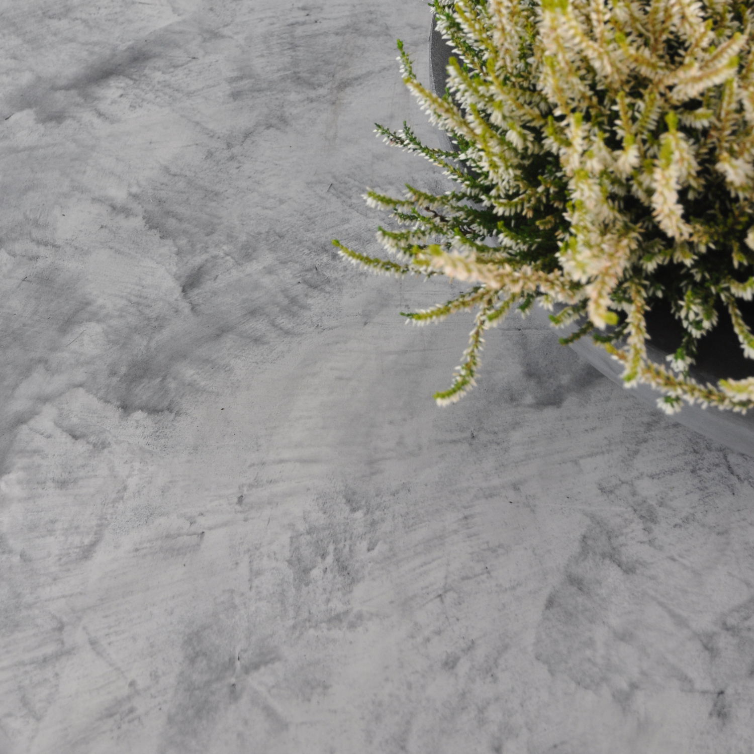 Concrete waxed concrete - MORTEX COLOR 2-F series - BEAL INTERNATIONAL ...