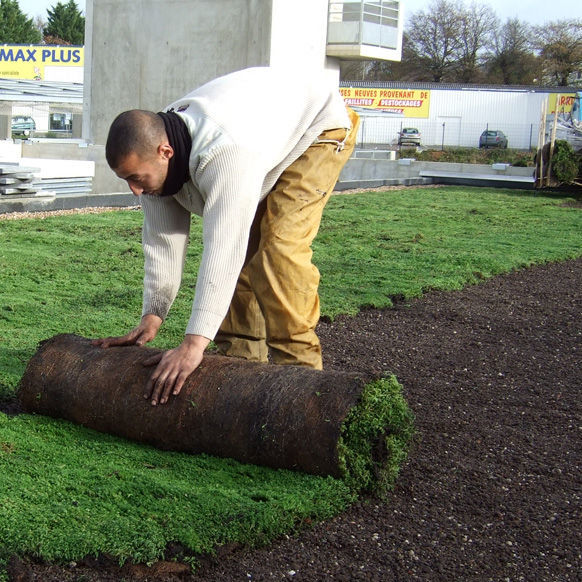Extensive green roof - ID MAT® - LE PRIEURE - for inclined roofs / for ...
