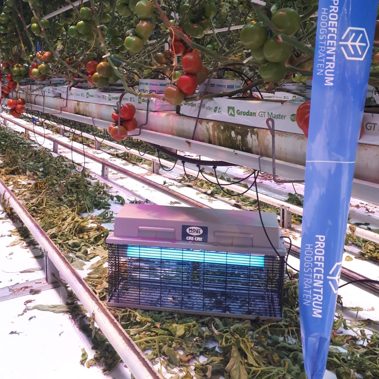 Commercial bug zapper - 308E - MO-EL - lamp