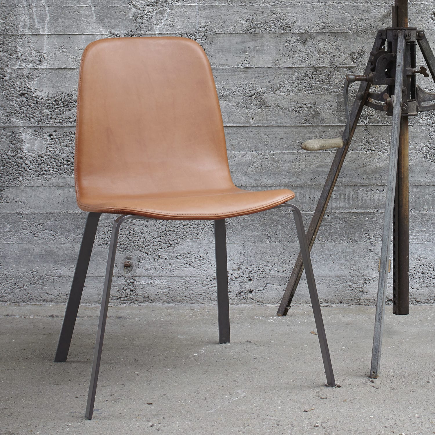 Contemporary chair - PEC - more - indoor / plastic / steel