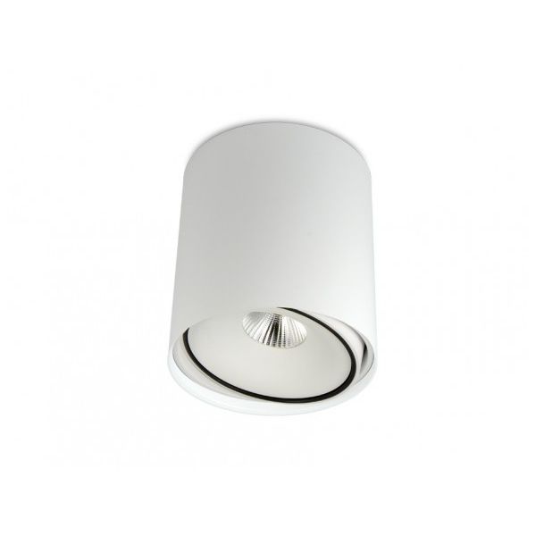 Ceiling-mounted spotlight - TUBE - BPM Lighting - LED / round / IP23