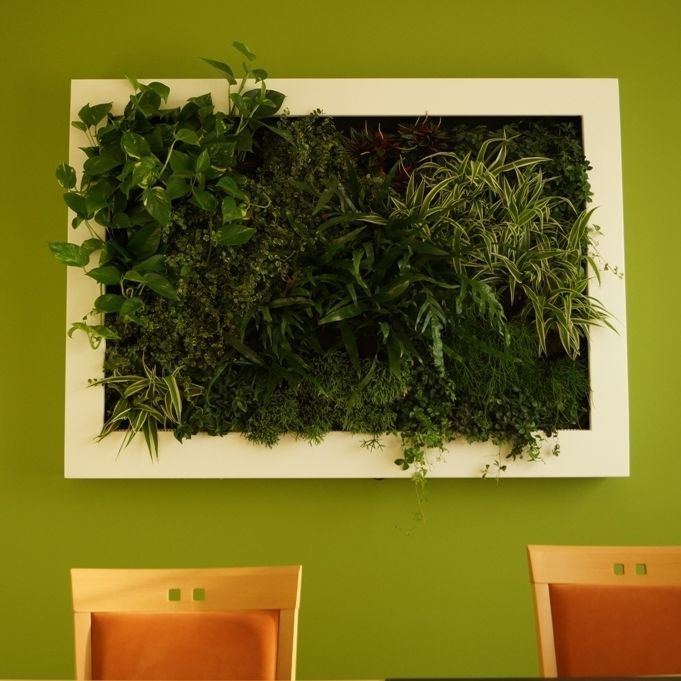 Slim green wall - NATURAL CANVAS - Terapia Urbana - with live plants ...