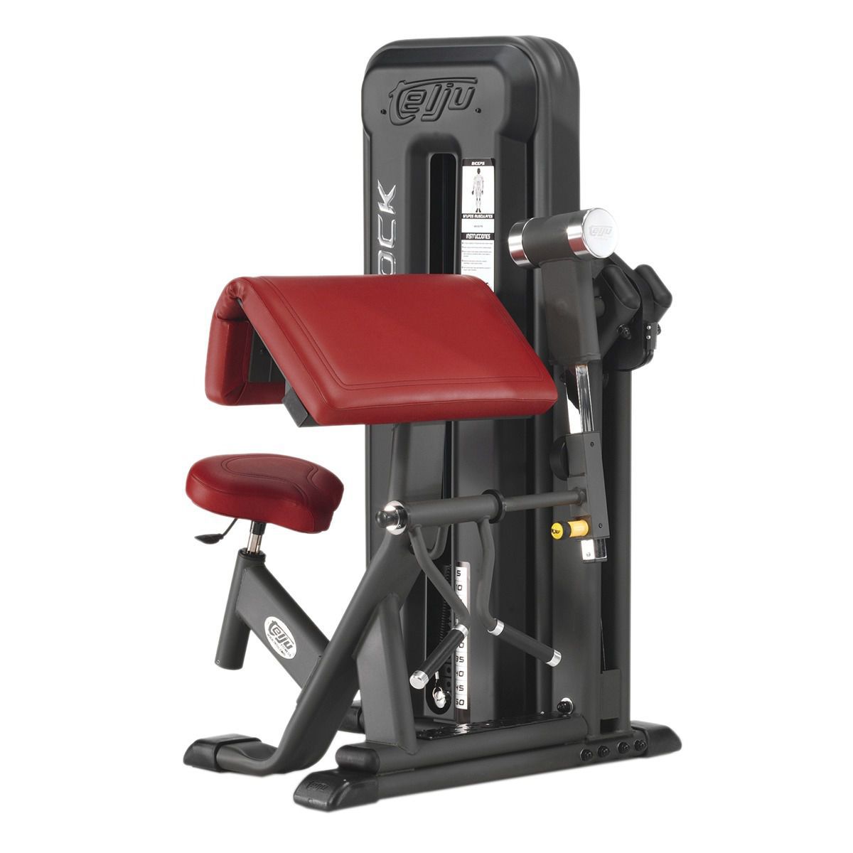 Curl weight training machine - 4SHO041/0 - Telju Fitness - indoor ...