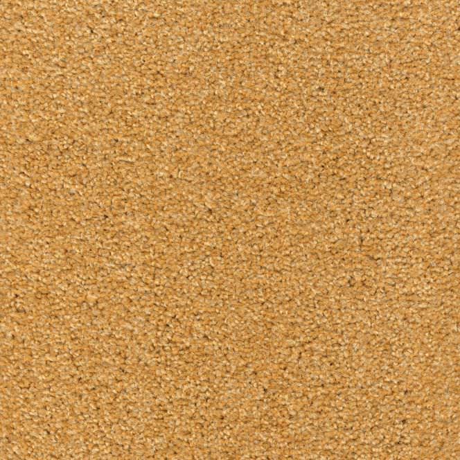 Tufted carpet - CARLTON - Anker-Teppichboden - polyamide / velvet ...