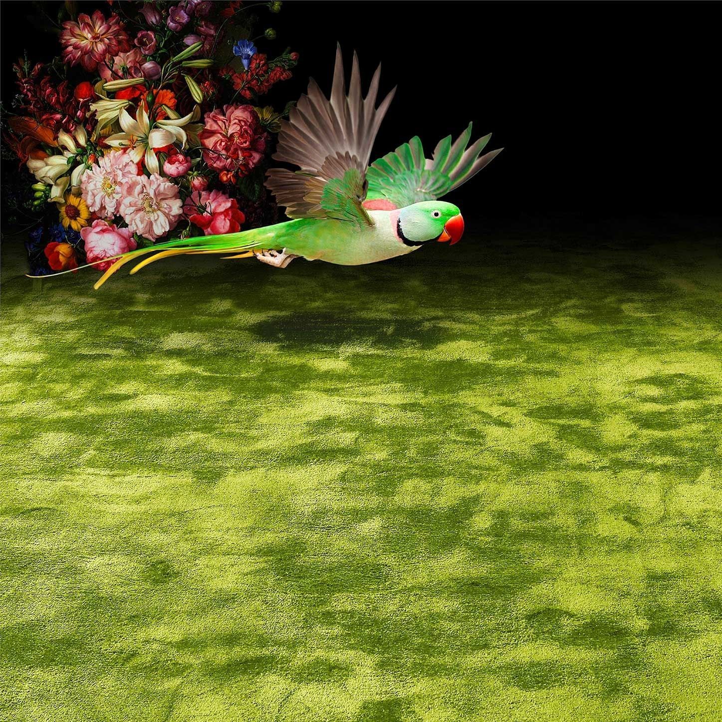 Woven carpet - PURE SILK 2500 - OBJECT CARPET - handmade / silk / plain