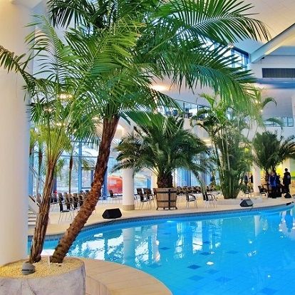 Thermal bath indoor garden - Botanic International