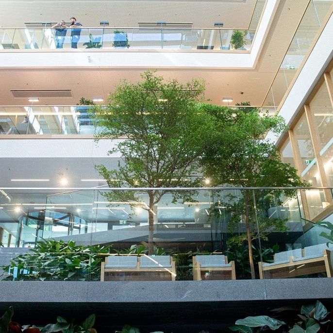 Atrium indoor garden - Botanic International