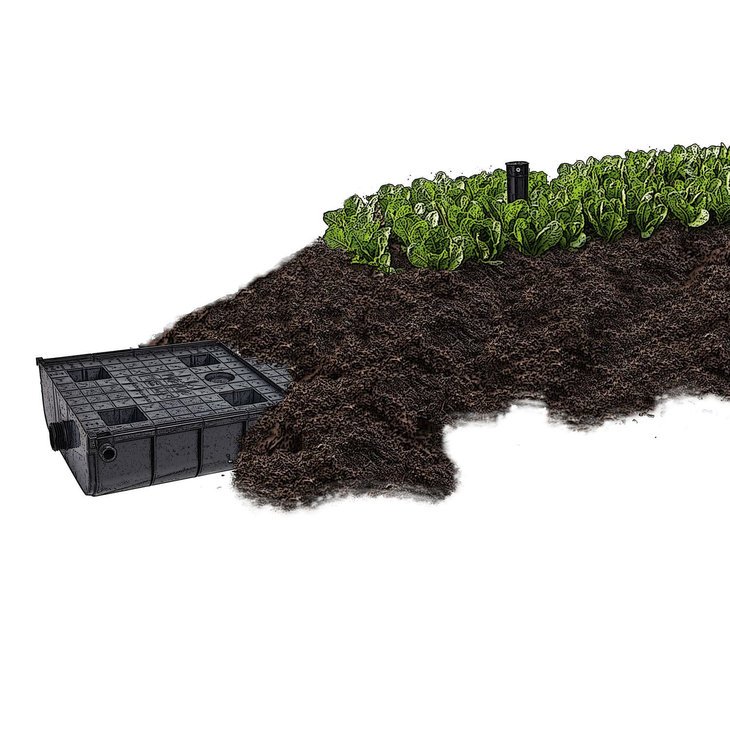 Underground irrigation system - WaterUps - BERA B.V. - automated
