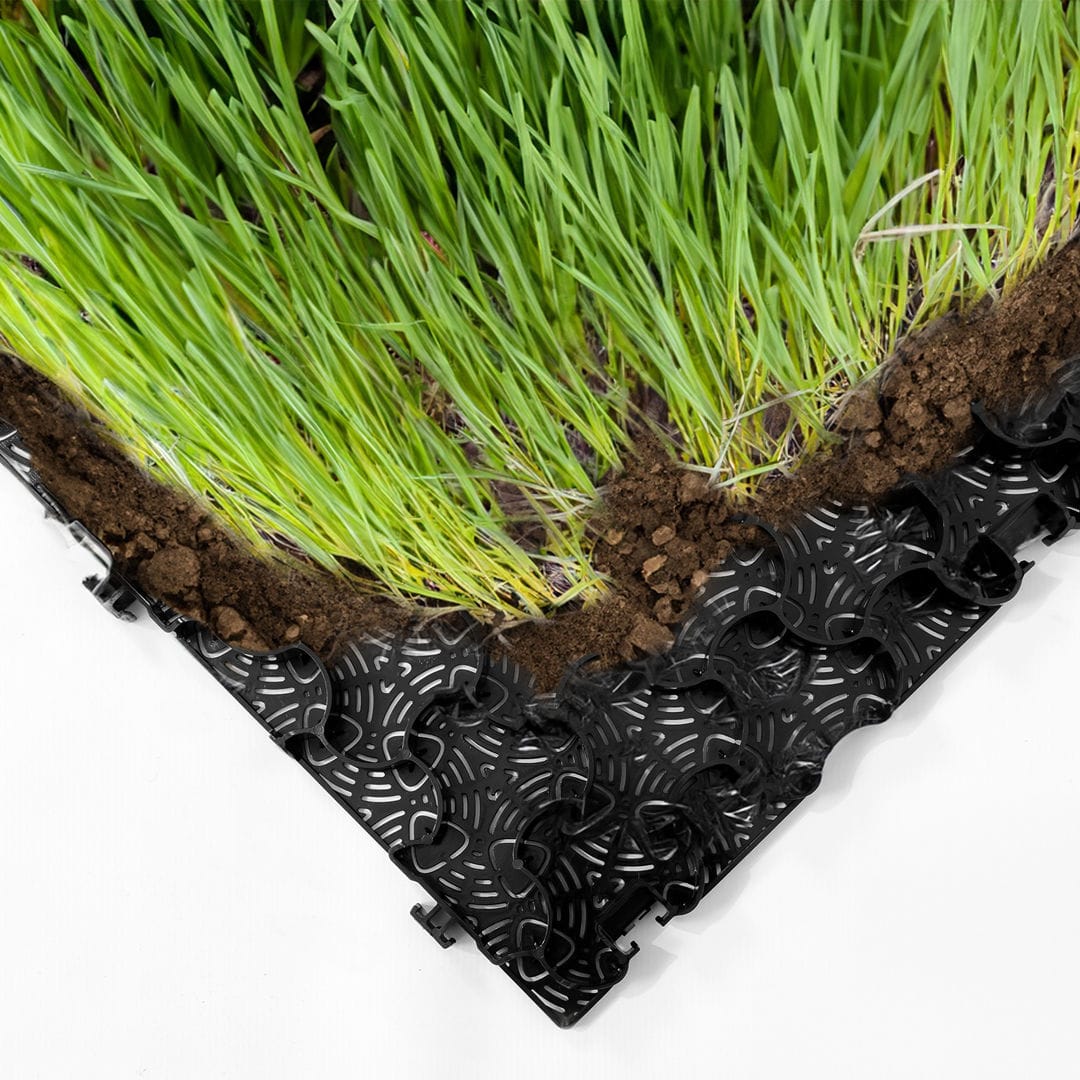 HDPE grass grid - MULTIDAL - ECCO PRODUCTS