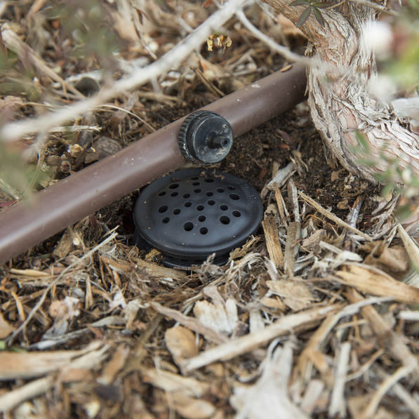 Fixed sprinkler - RZWS-10 - Hunter Industries