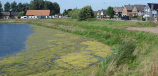 Erosion control blanket - STANDARD - MST-DRÄNBEDARF