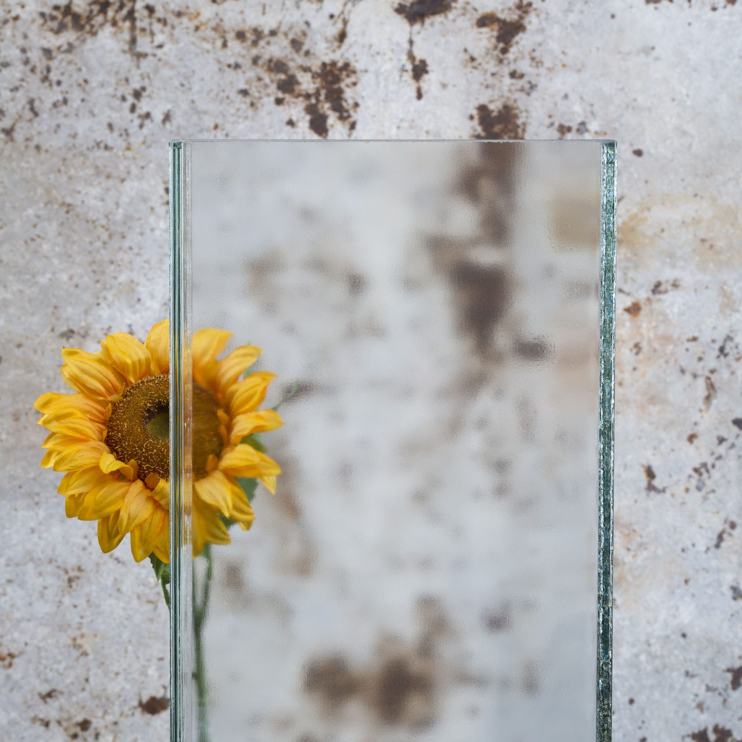 Translucent profiled glass - LINIT EcoGlass clarissimo - Glasfabrik ...