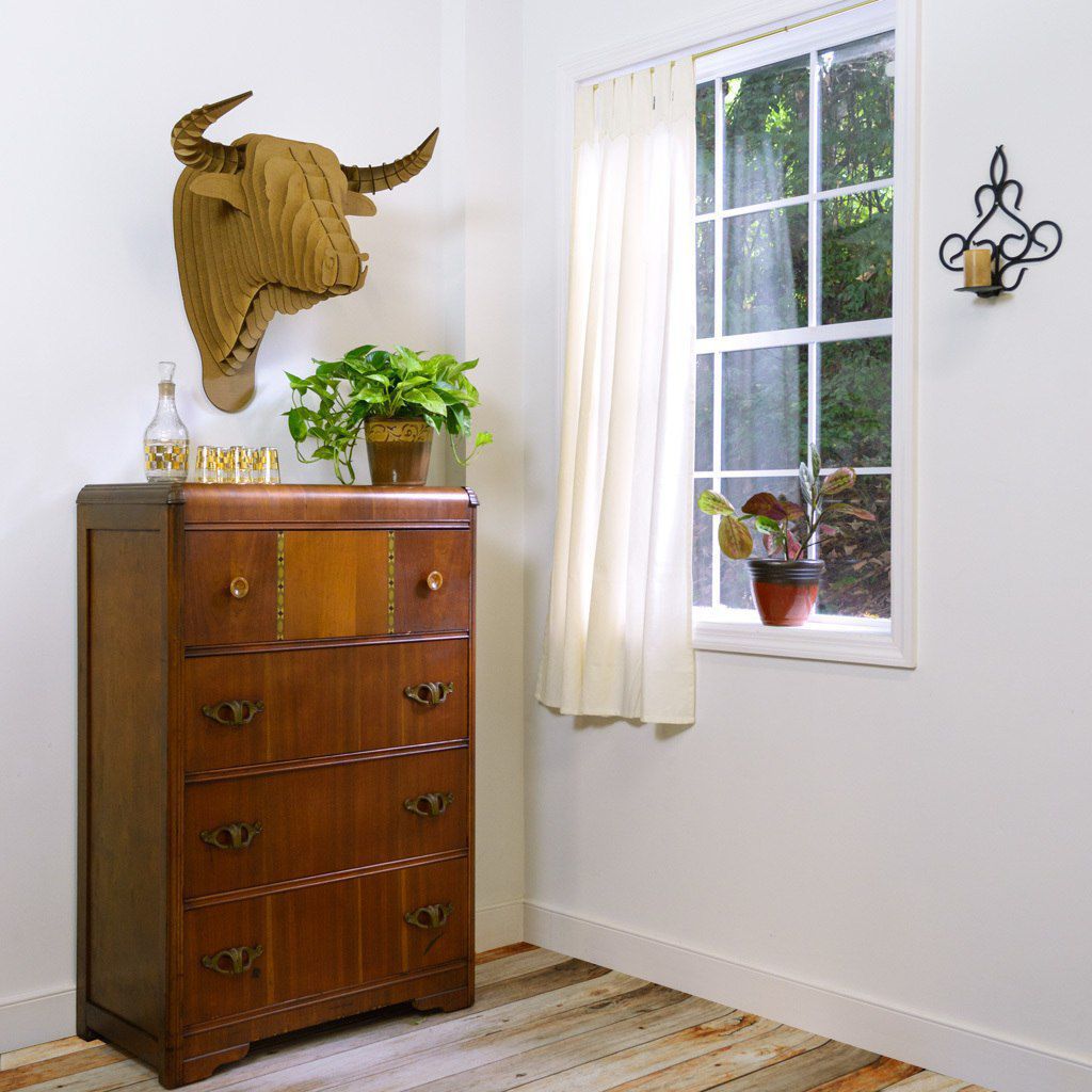 Cardboard sculpture - TORO BULL HEAD - cardboard safari - wall