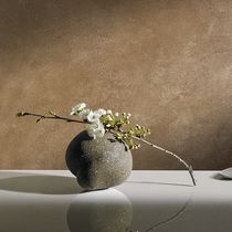 Lime-based coating, Lime coating - All architecture and design ...