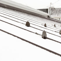 FABRAL: Building & Construction - ArchiExpo