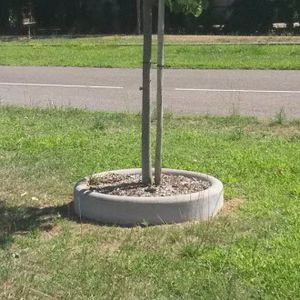 Round edge, Circular edging - All architecture and design manufacturers