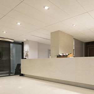 Surface-mounted light fixture - MASTERCONNECT EM/MAINS T8 - PHILIPS ...