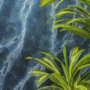 Wood paint - All architecture and design manufacturers