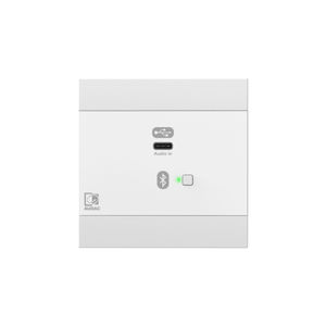 Multiroom audio input module - NWP300 - Audac
