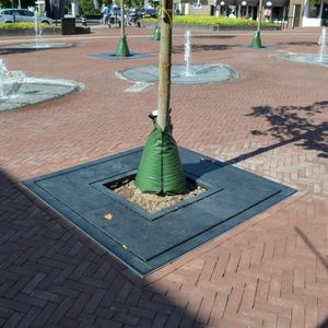 Cast iron tree grate - All architecture and design manufacturers