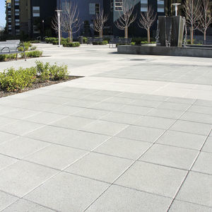 Grass paver - CHECKER BLOCK - ACKER STONE