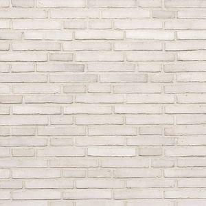 Clinker cladding brick - RT 154 - Randers Tegl A/S - exterior ...