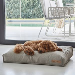 Polyester dog cushion - COMODO - MiaCara - gray / greige / machine washable