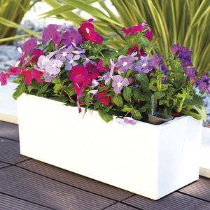 Polypropylene planter - All architecture and design manufacturers