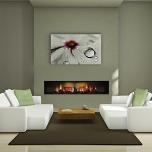 Closed electric hearth - PGF10 - Dimplex - 1-sided / metal / built-in