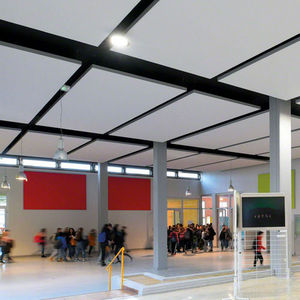 Aluminum stretch ceiling - CLOUD CLIM® - BARRISOL - canvas / floating ...