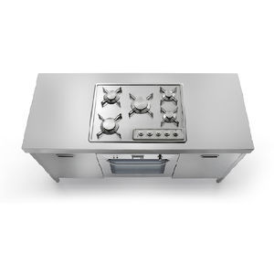 Gas range cooker - C190-F90+C90/1 - ALPES-INOX - electric / 1 oven / 5 ...