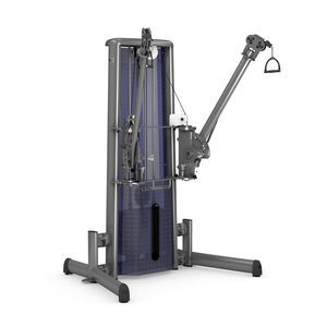 Pulldown weight training machine - All architecture and design ...