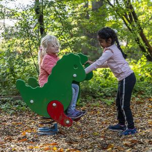 Plywood spring rocker - M123 - KOMPAN - animal / 1-seat