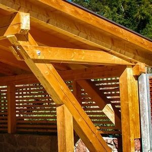 CAD software - TIMBER FRAMING - DIETRICH'S AG - calculation / CAM / for ...