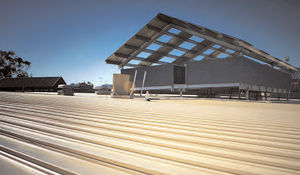 Sheet steel roofing - LYSAGHT CUSTOM ORB® - BlueScope Steel - corrugated